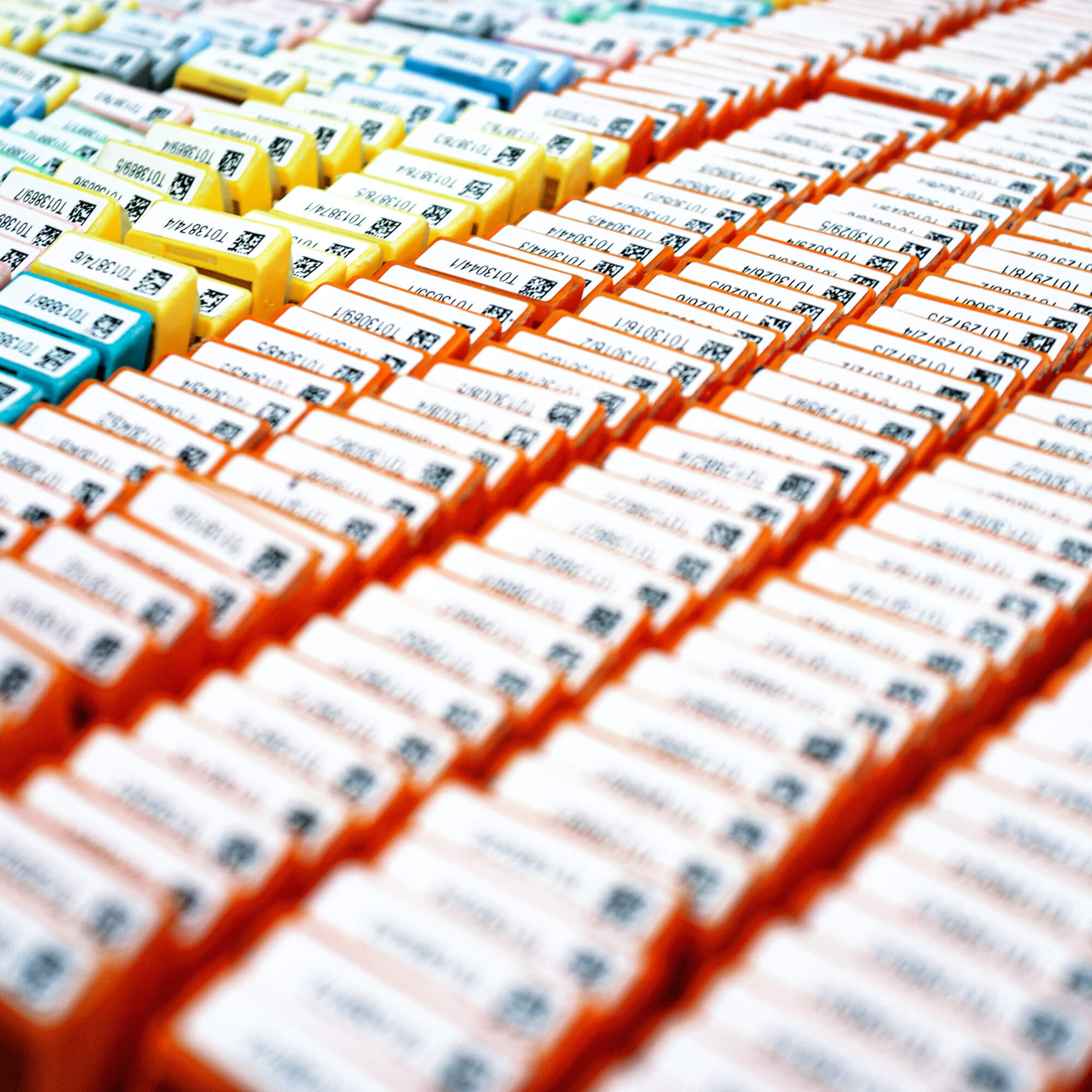 Our Human Tissue Bank - BIOMEX