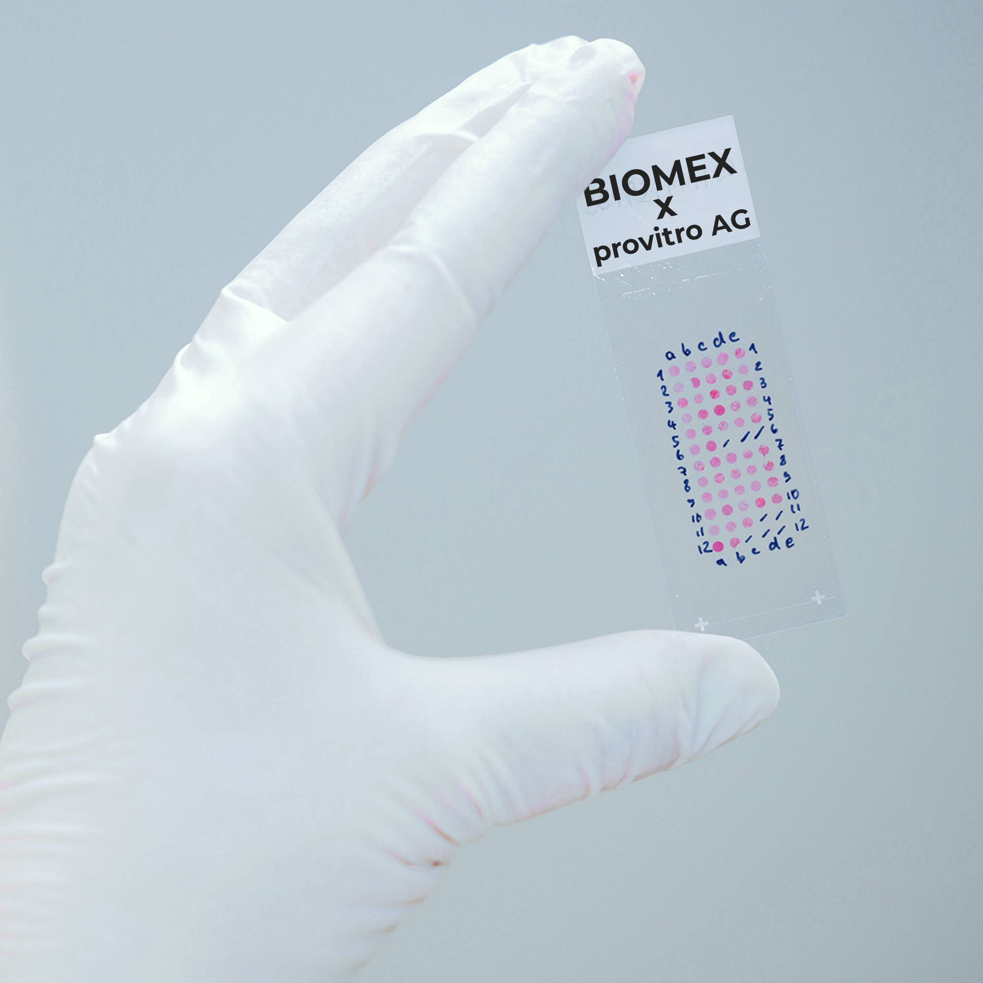 Extension of the BIOMEX family! - BIOMEX