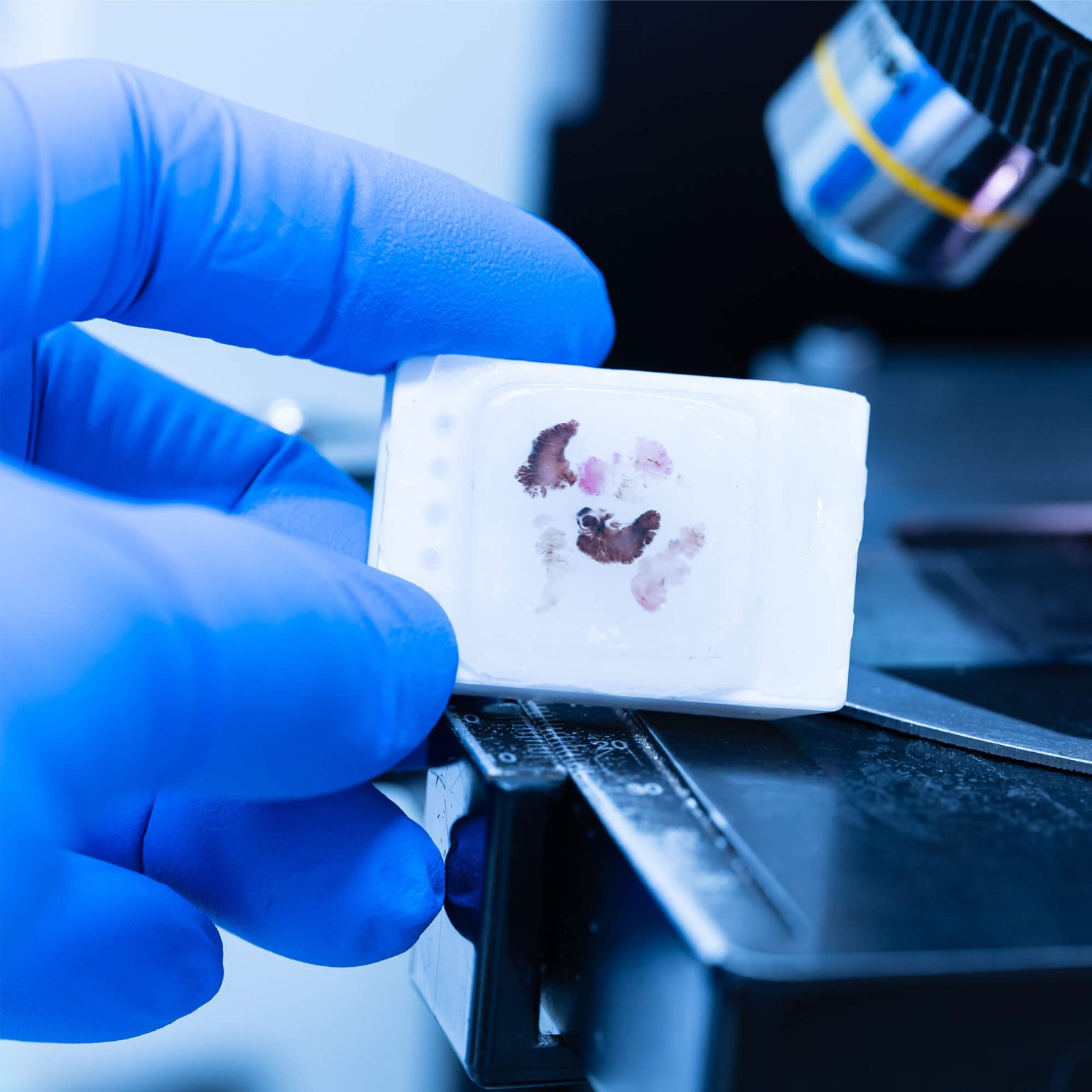 BIOMEX: Your partner in diagnostics & life sciences.