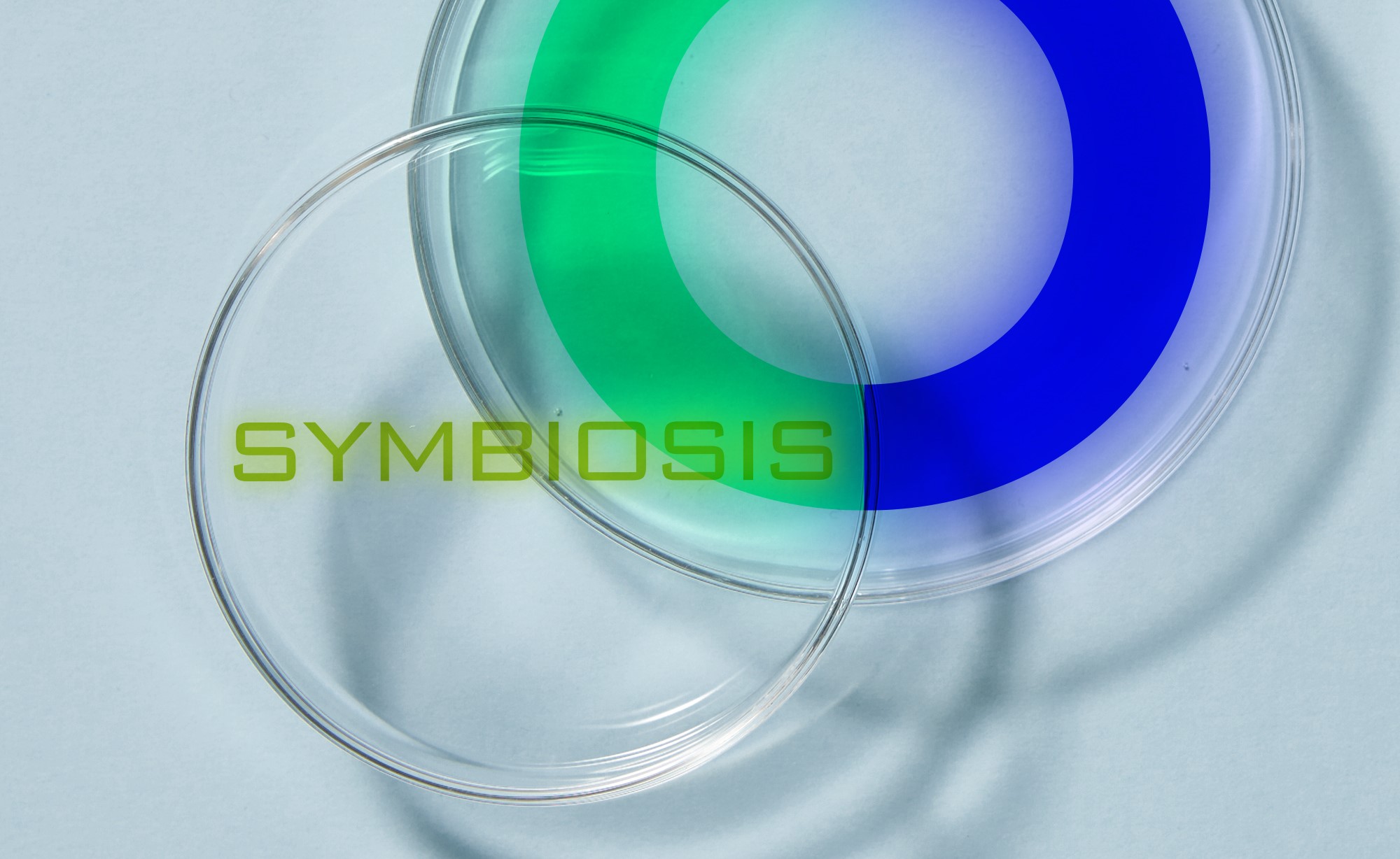 BIOMEX is growing again - BIOMEX