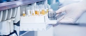 BIOMEX: Your partner in diagnostics & life sciences.